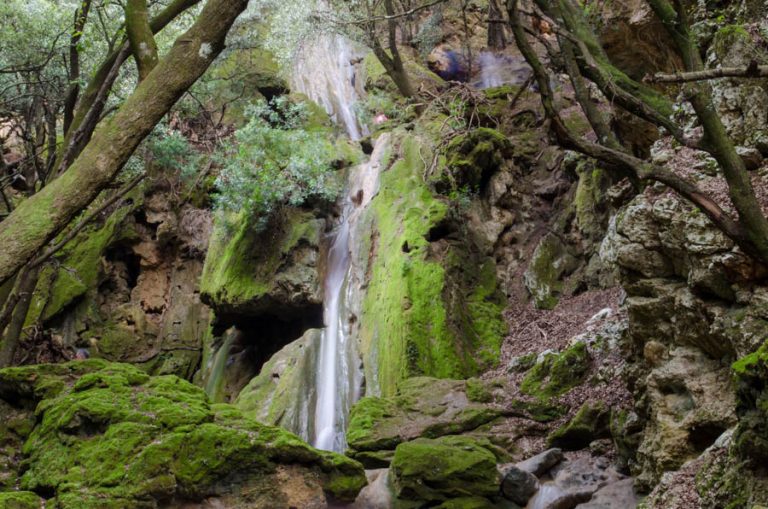 Salt des Freu: Mallorcas bekanntester Wasserfall in Orient
