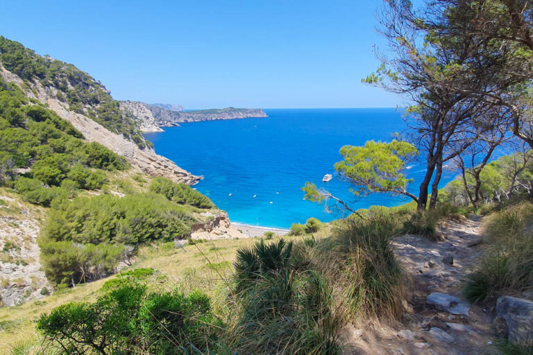 Der Naturstrand Platja des Coll Baix